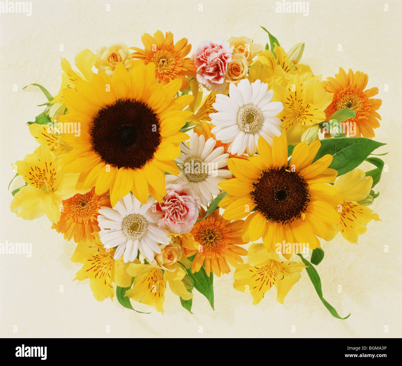 A large group of various flowers Stock Photo - Alamy