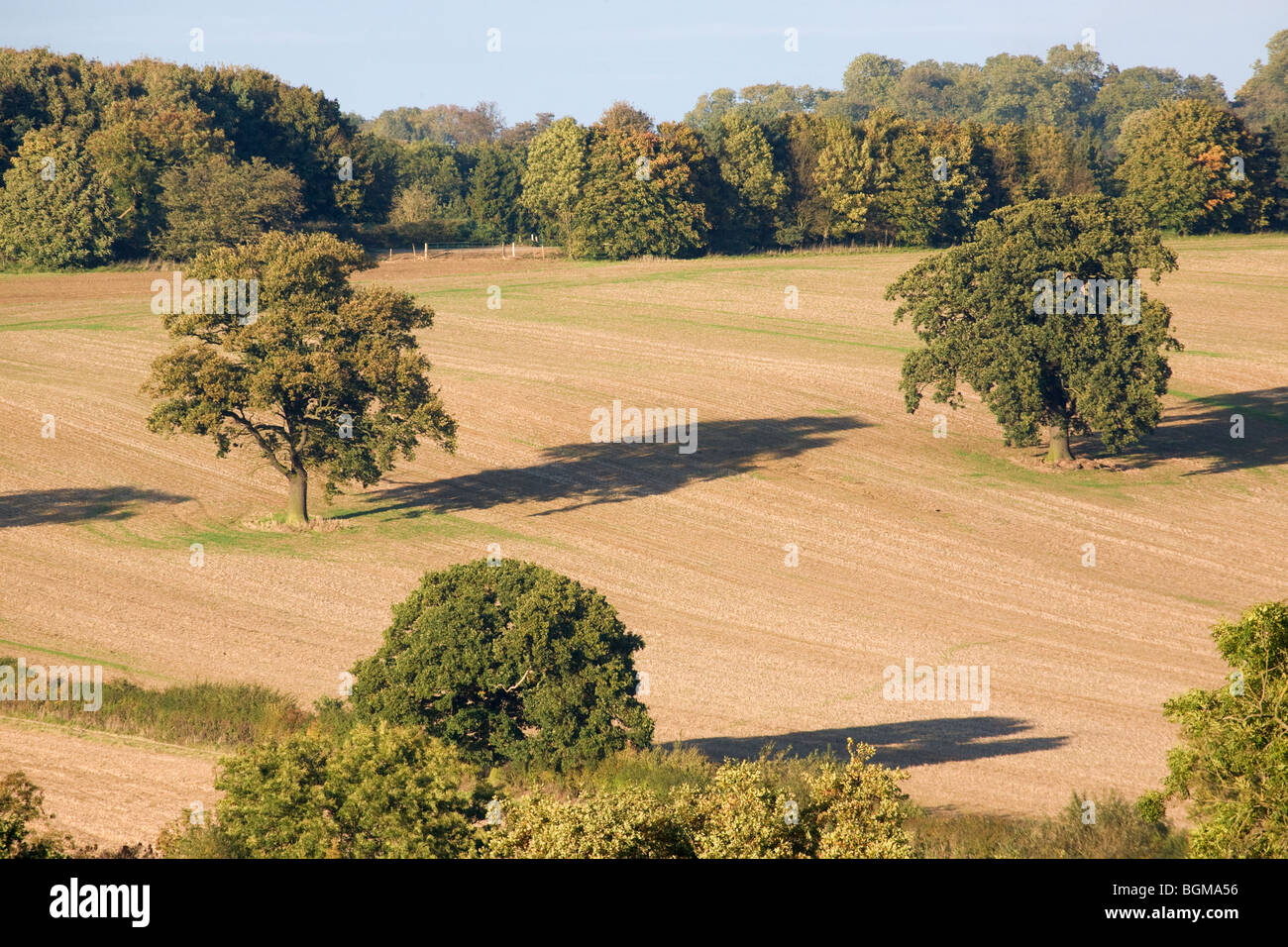 Rolling English countryside Stock Photo - Alamy