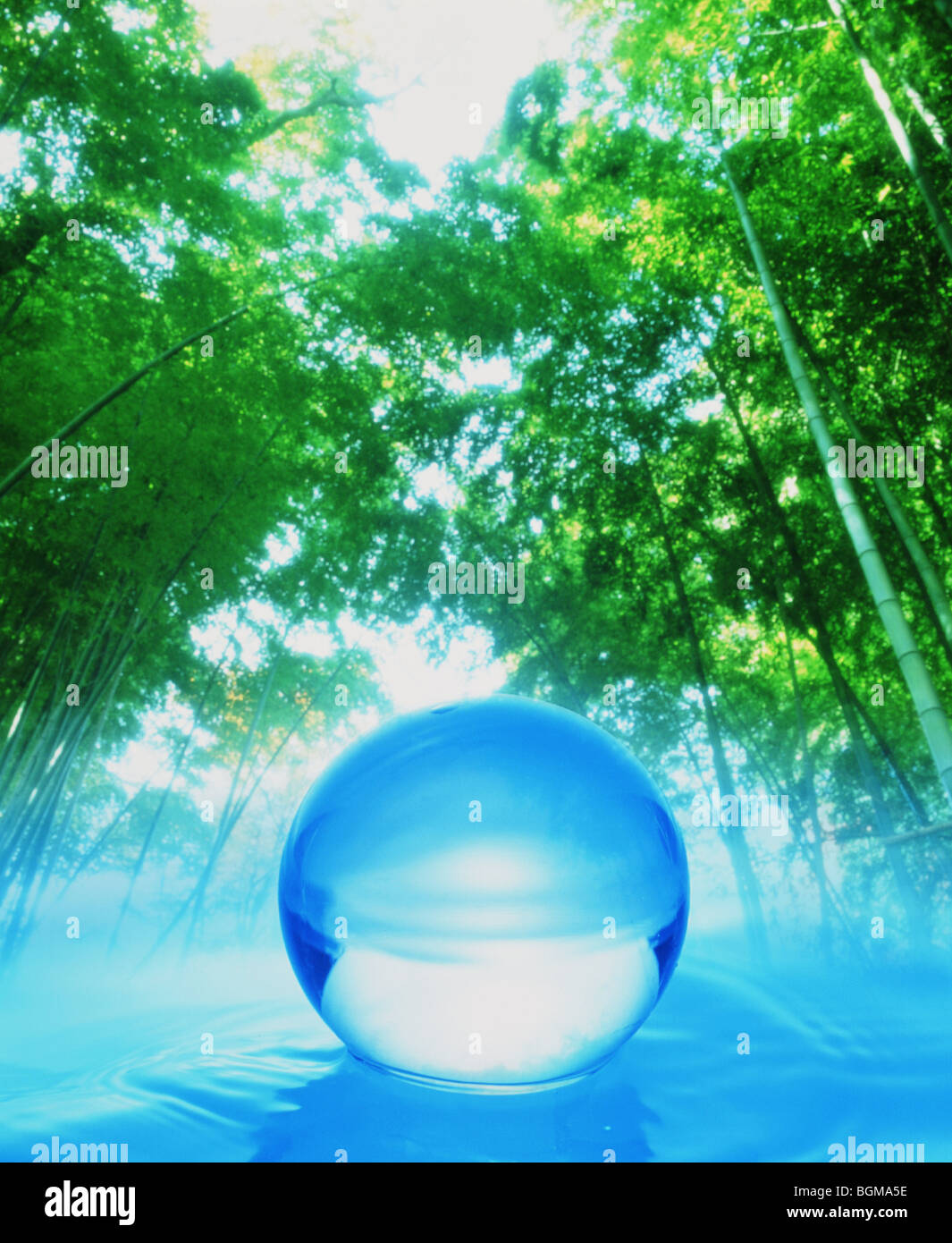 Glass sphere in a bamboo forest Stock Photo - Alamy