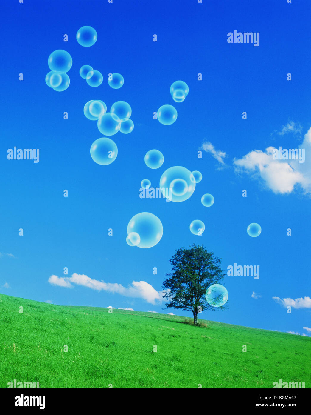 Bubbles floating past tree in a green field Stock Photo - Alamy