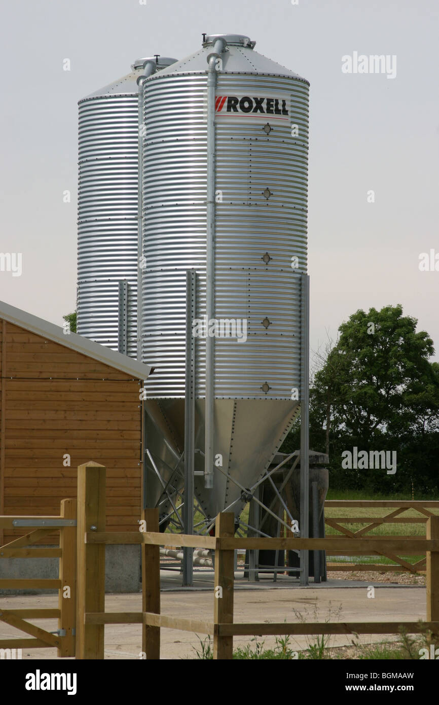 Poultry feed hi-res stock photography and images - Alamy