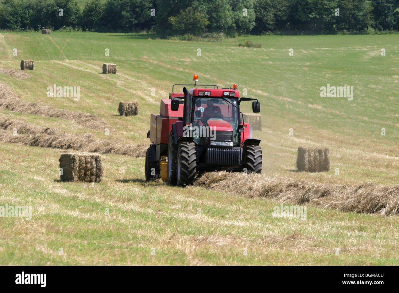 Tractor Baling Big Square Hay Bales Stock Photo - Alamy