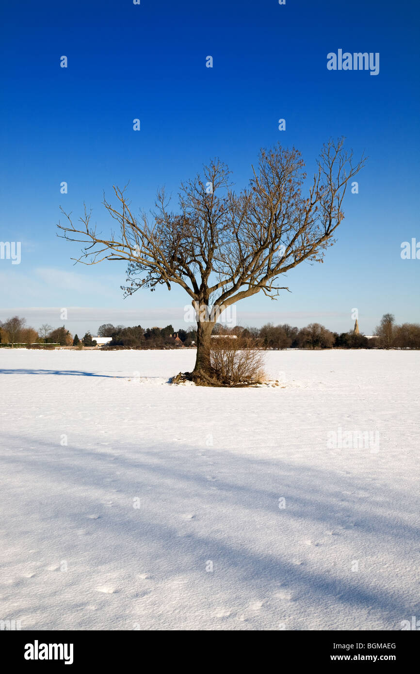 Lone tree in snow covered winter landscape hi-res stock photography and ...