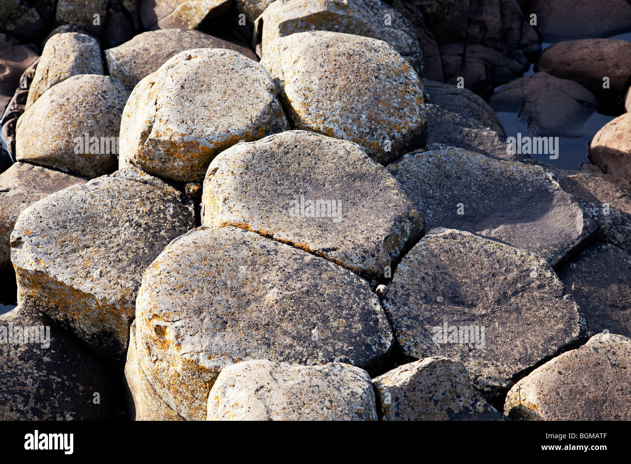 volcanic stones at the Giant's Causeway Antrim Northern Ireland, a ...