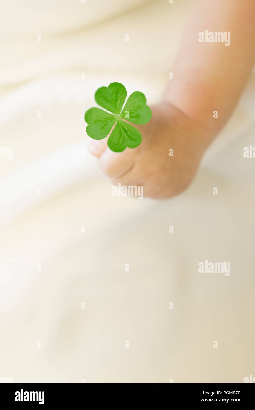 Four Leaf Clover High Resolution Stock Photography and Images - Alamy