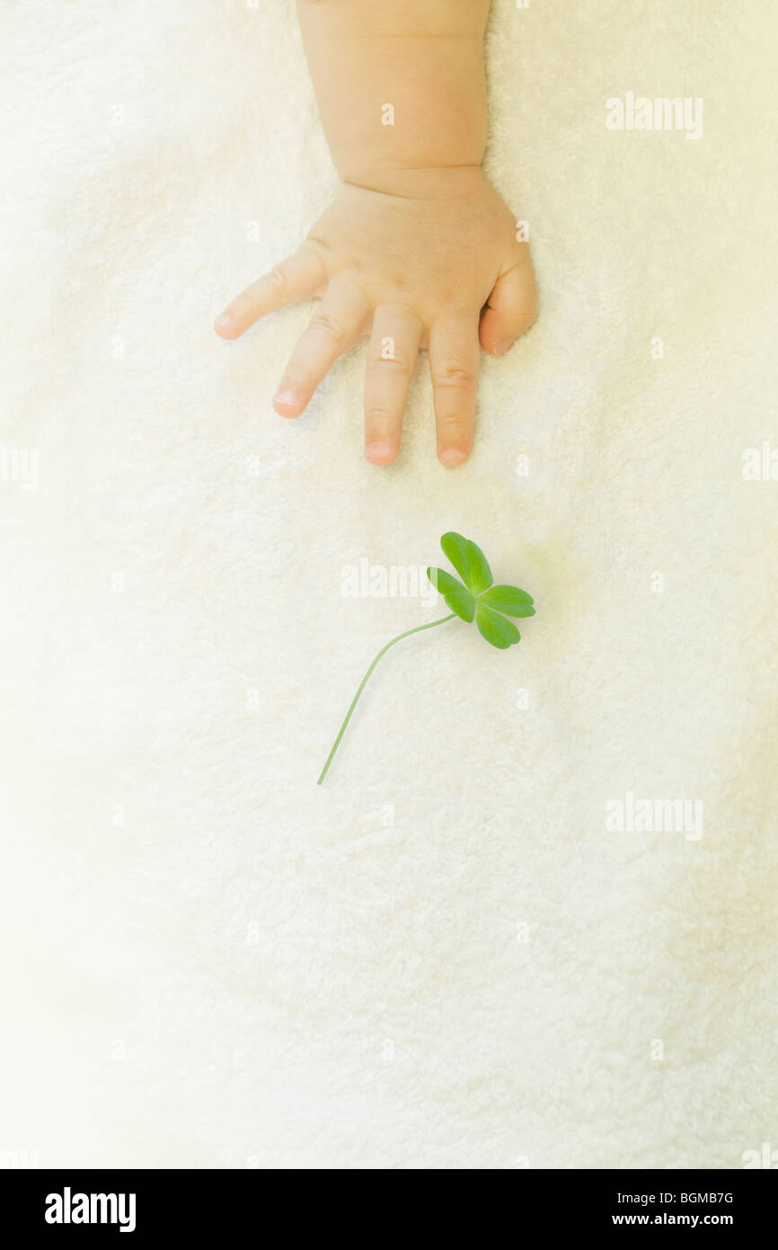 Baby reaching towards four leaf clover Stock Photo - Alamy