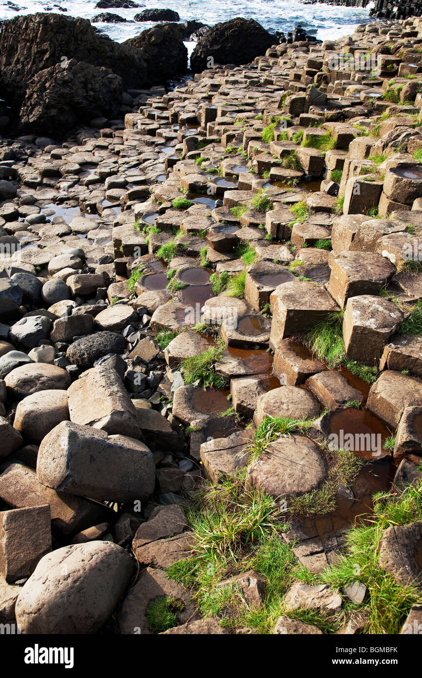 Volcanic rock at the Giant's Causeway Antrim Northern Ireland a natural ...