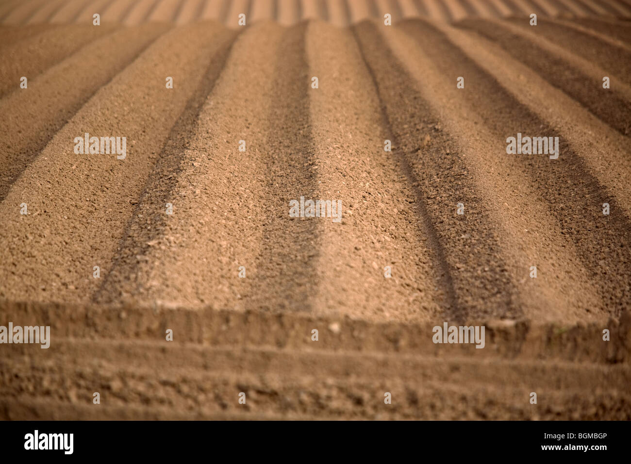 Patterns in the soil made by agriculture Stock Photo - Alamy