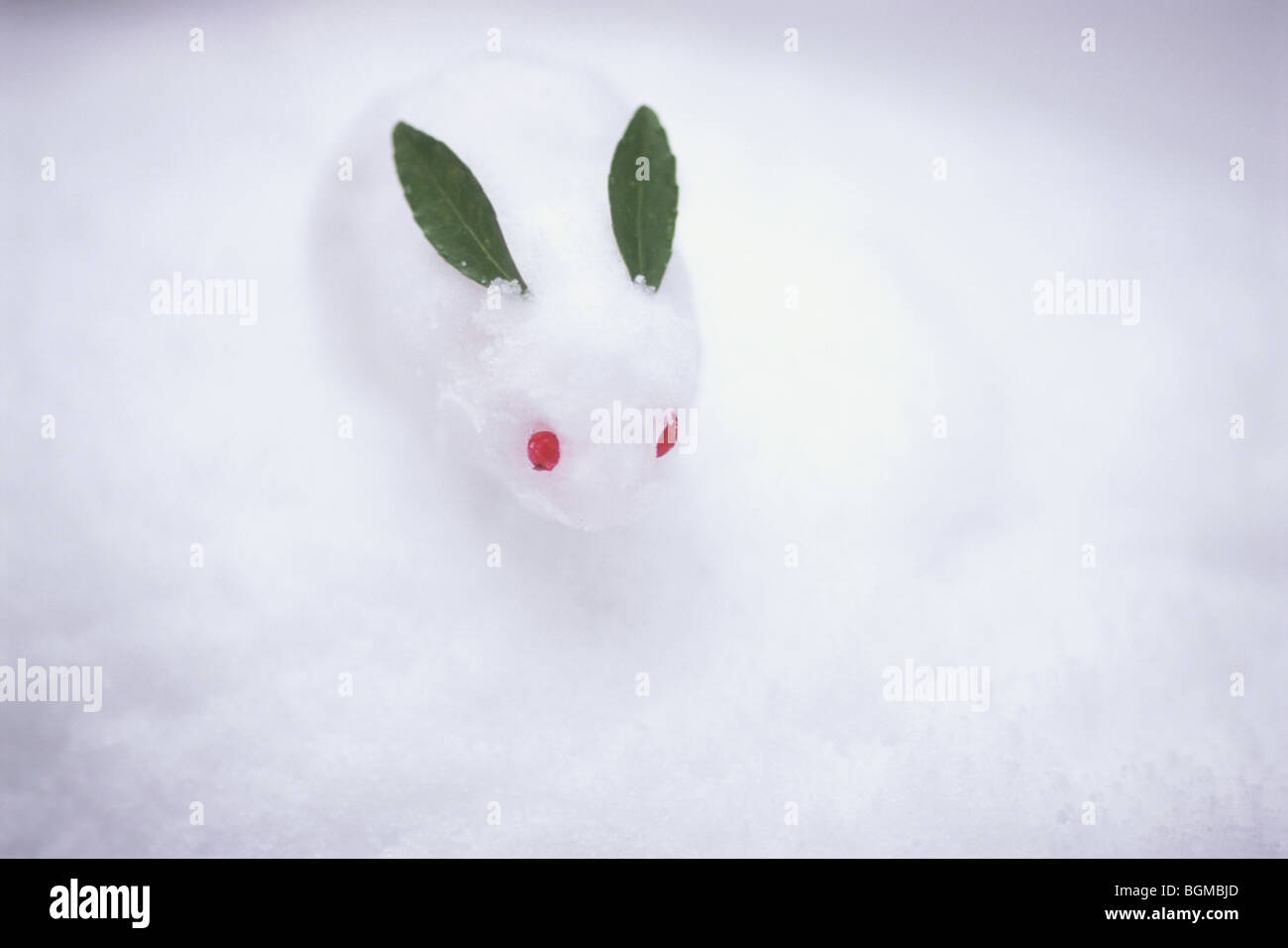 A Rabbit made from Snow Stock Photo - Alamy