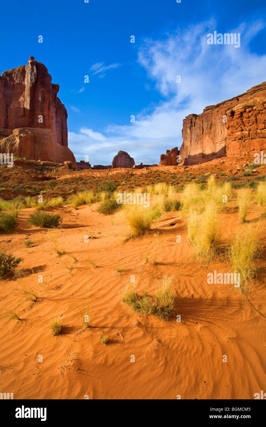Desert Sand Ripples, Courthouse Towers,Arches National Park, Utah, USA ...