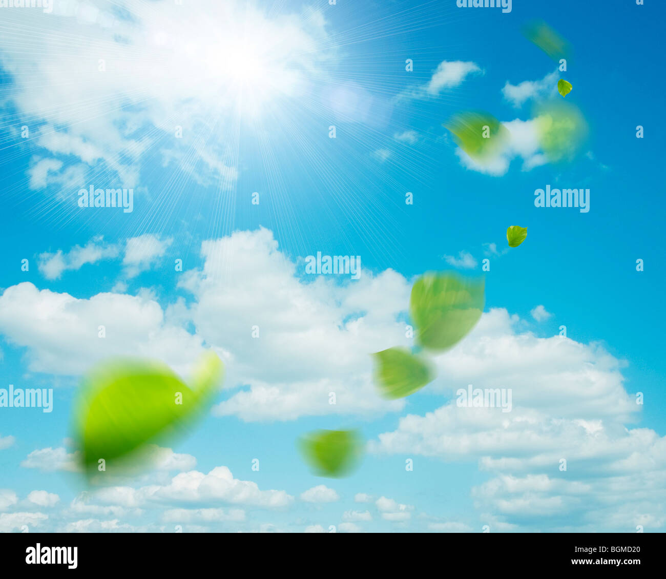 Flying leaves hi-res stock photography and images - Alamy