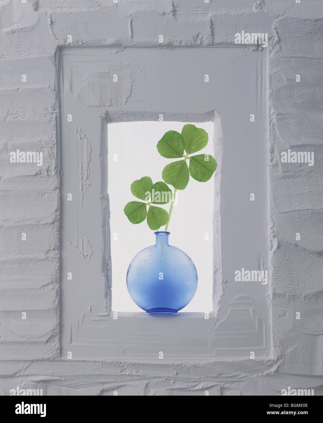 Vase of four leaf clovers in window of a wall Stock Photo - Alamy