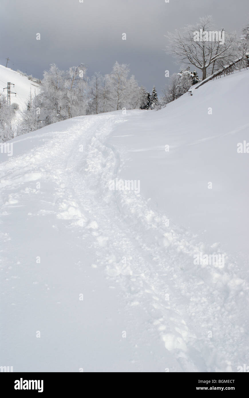 Trails in snow hi-res stock photography and images - Alamy