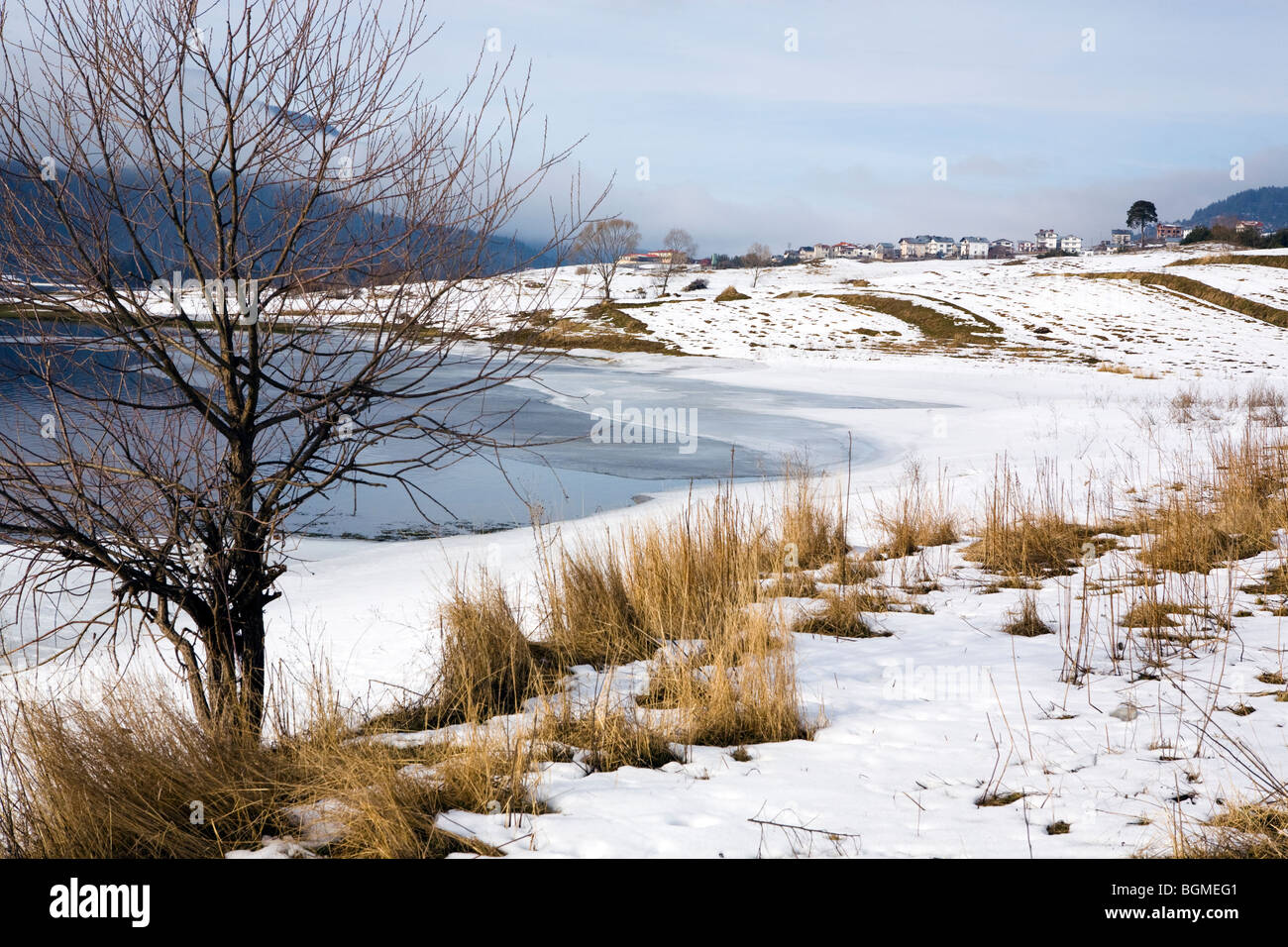 Winter scene on a lake coast, Dospat Dam, Rhodopi mountains Stock Photo ...