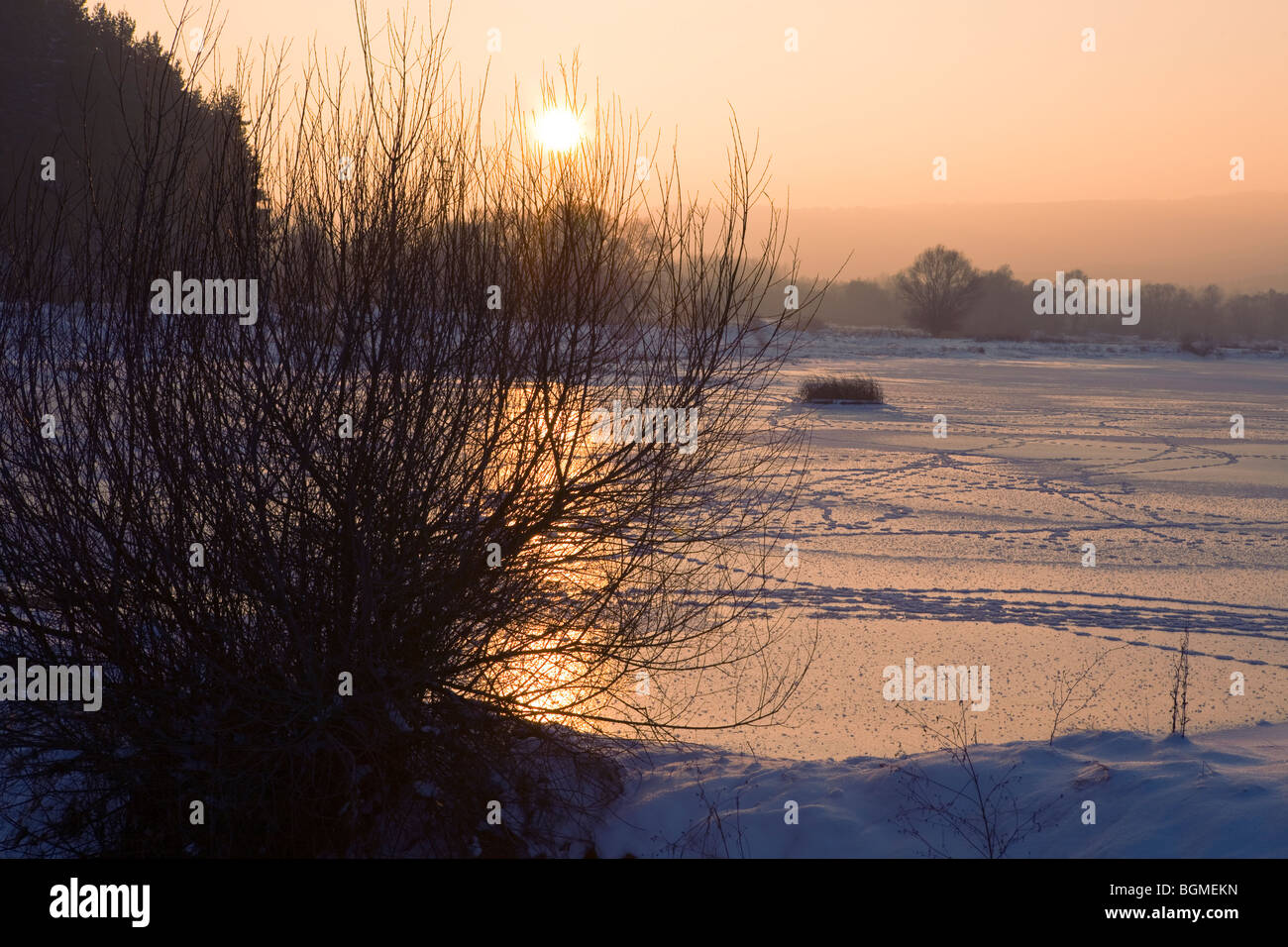 Winter scene, Iskar dam frozen, animal footprints on the ice Stock ...