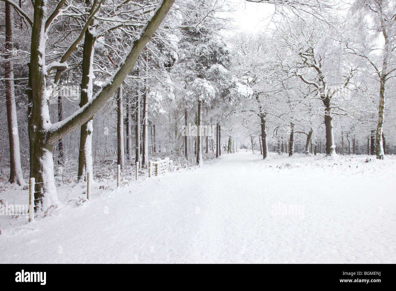 Part of Bramham Park Estate after heavy snowfall Stock Photo - Alamy