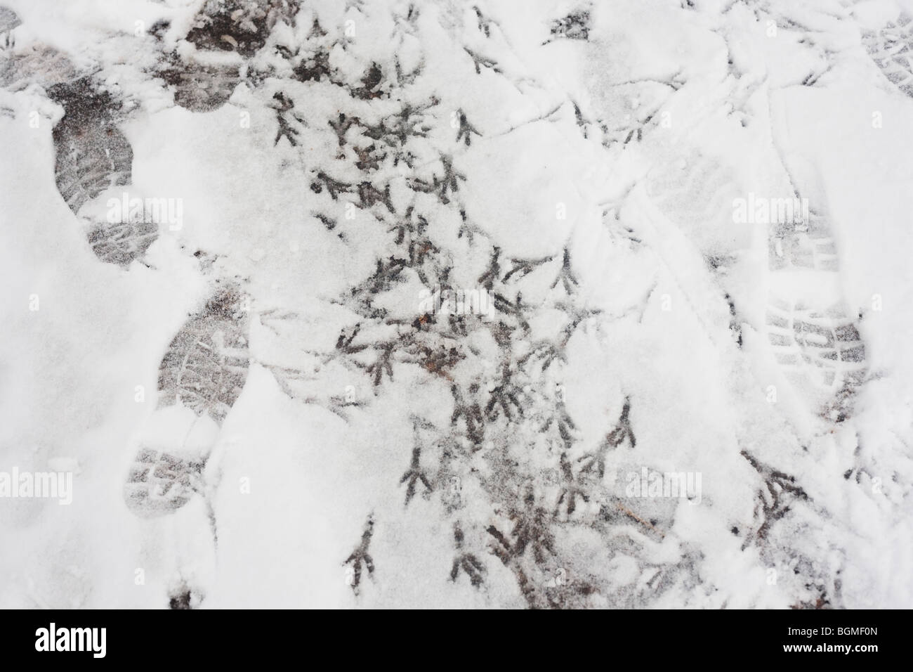 Human marks in nature hi-res stock photography and images - Alamy