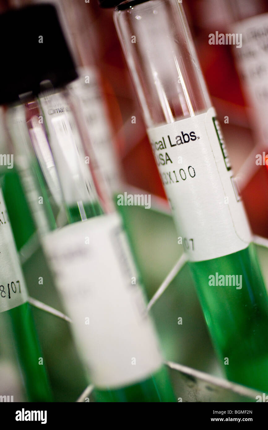 Lab laboratory thermometer hi-res stock photography and images - Alamy