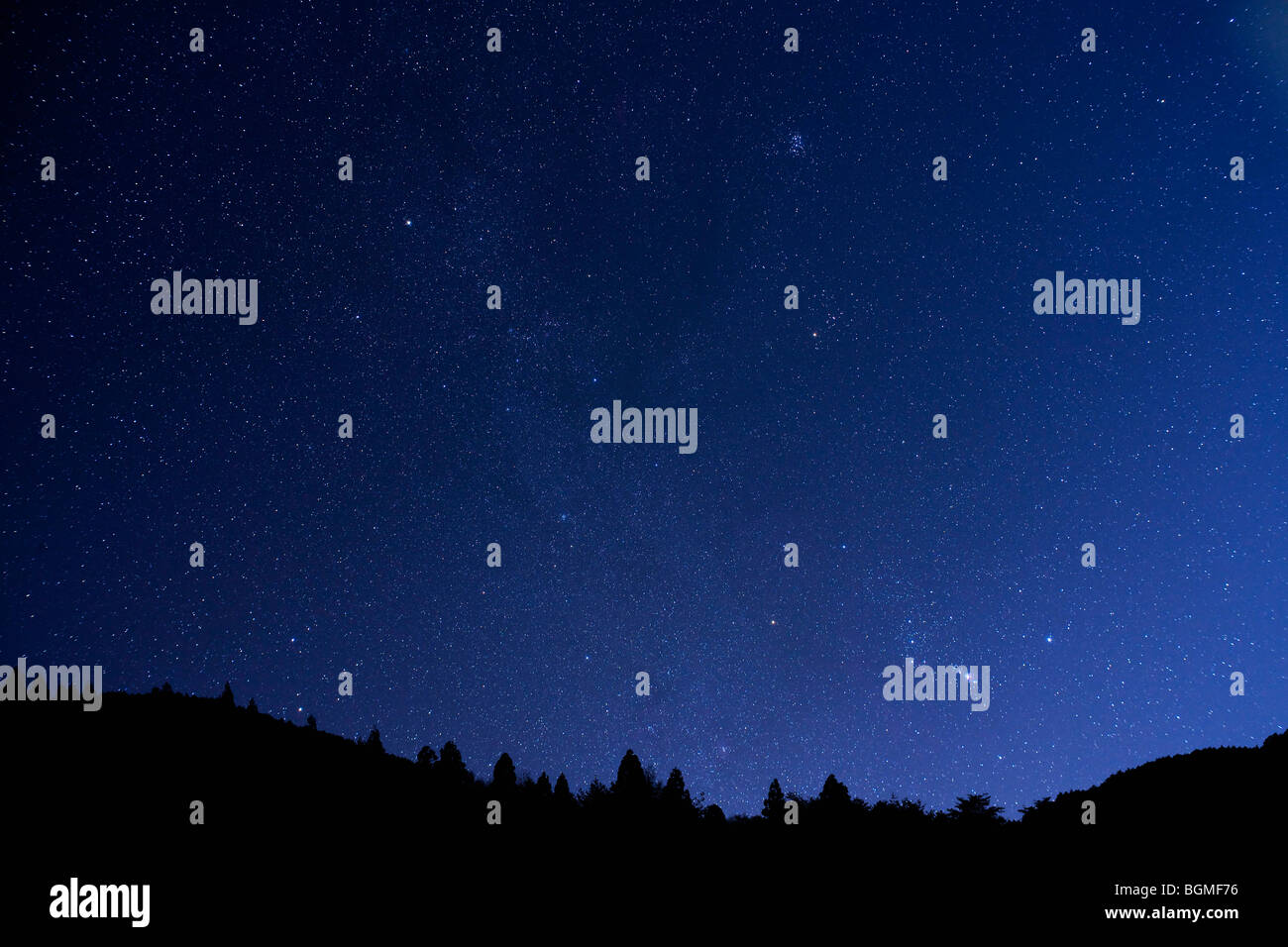 Starlit tree hi-res stock photography and images - Alamy