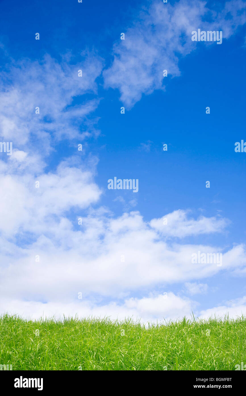 Vertical blue sky field hi-res stock photography and images - Alamy