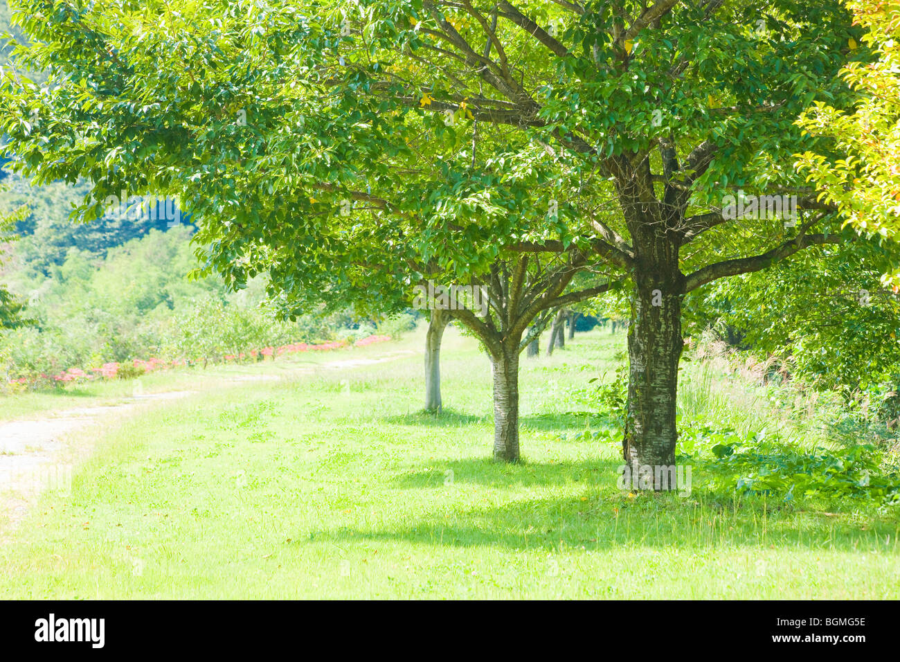 Agematsu nagano japan hi-res stock photography and images - Alamy