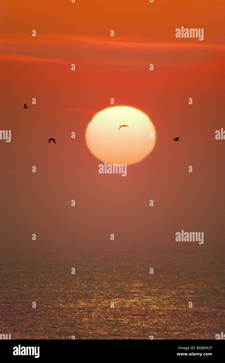 Sunrise Over the Horizon Stock Photo - Alamy