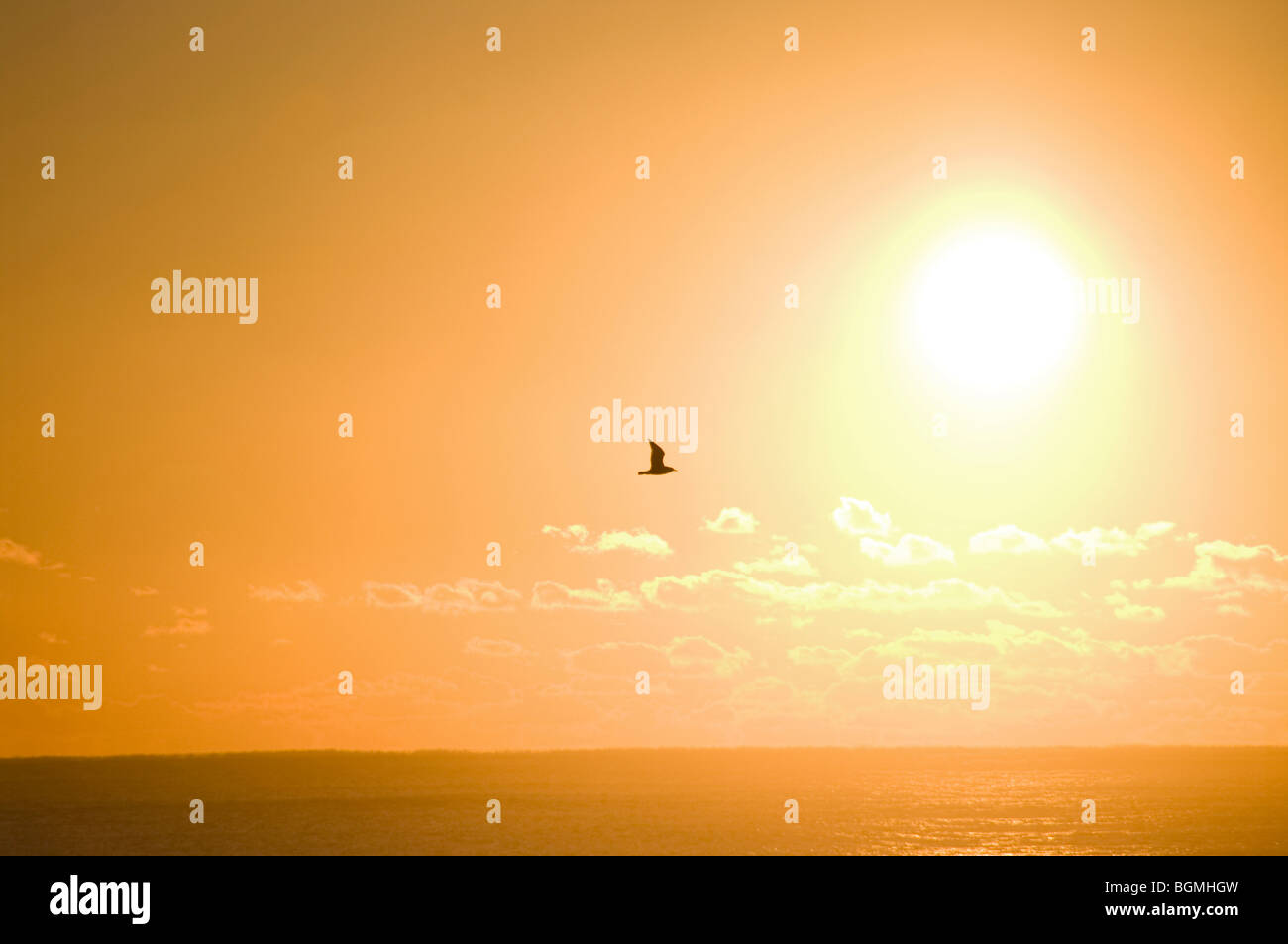 Yellow sky hi-res stock photography and images - Alamy