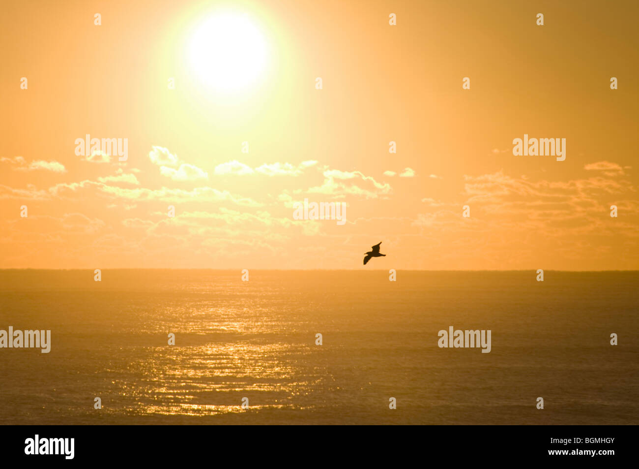 Yellow sky hi-res stock photography and images - Alamy