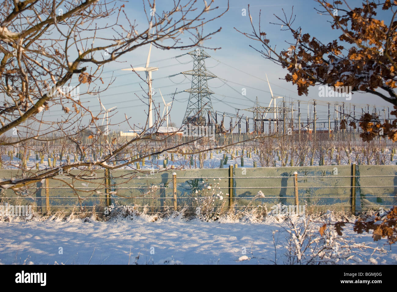 Wind farm and pylon in a snowy landscape with a newly planted wood ...