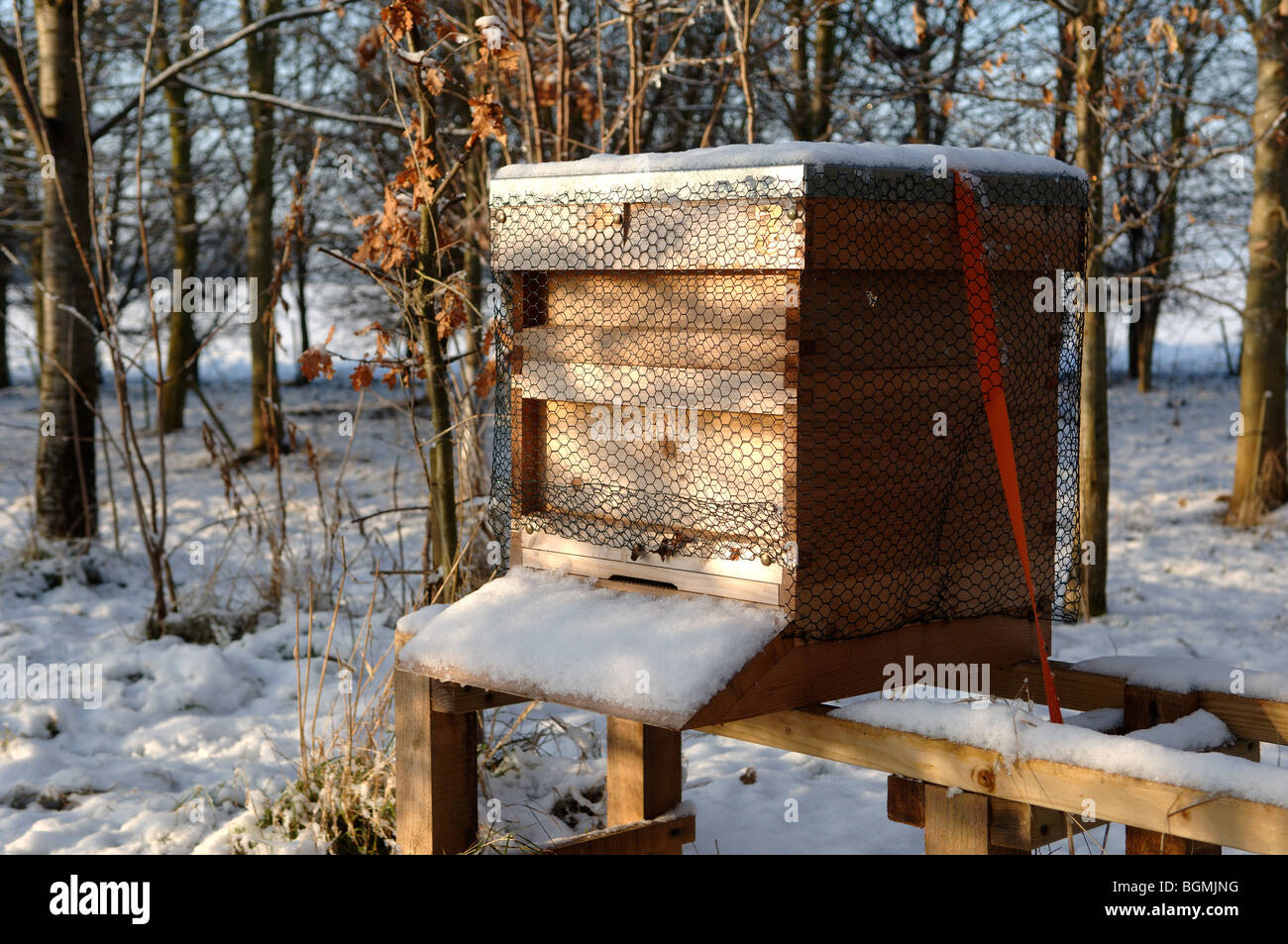 National Bee hive in winter Stock Photo - Alamy