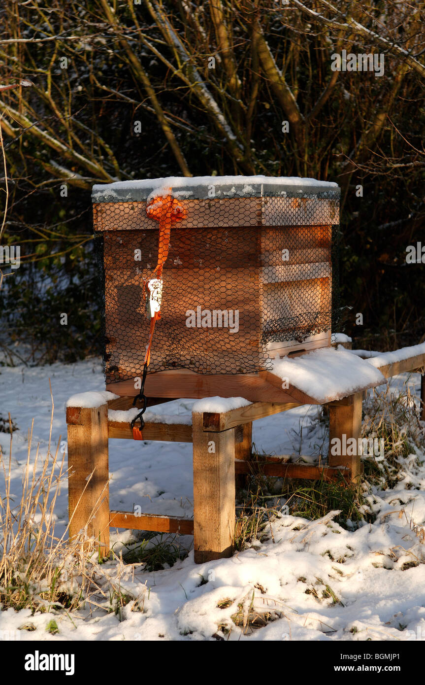National Bee hive in winter Stock Photo - Alamy