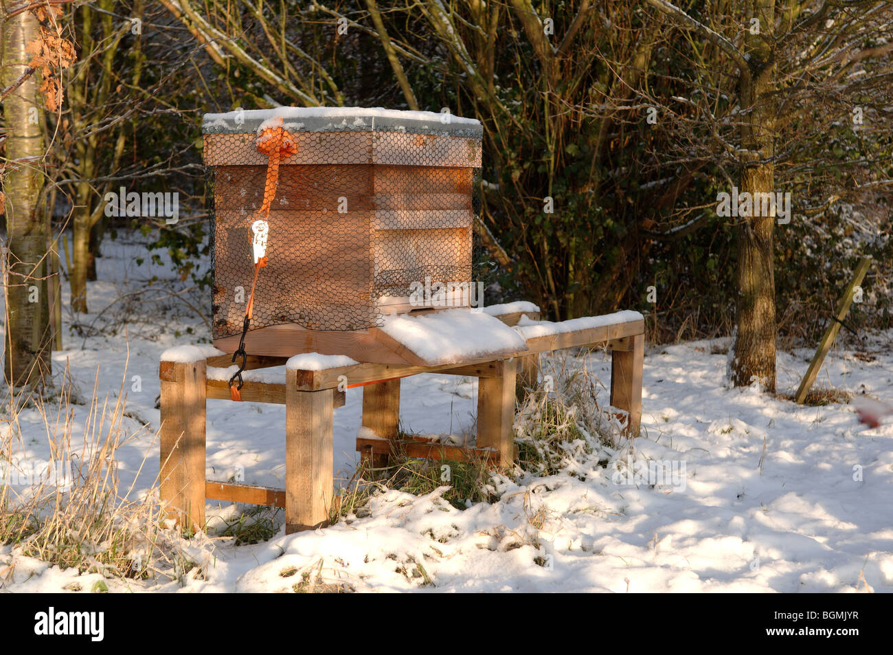 National Bee hive in winter Stock Photo - Alamy