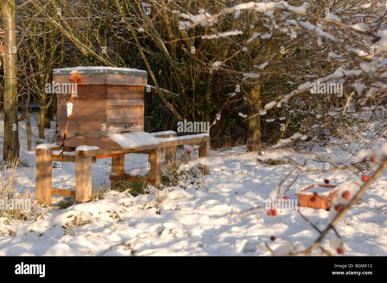 National Bee hive in winter Stock Photo - Alamy