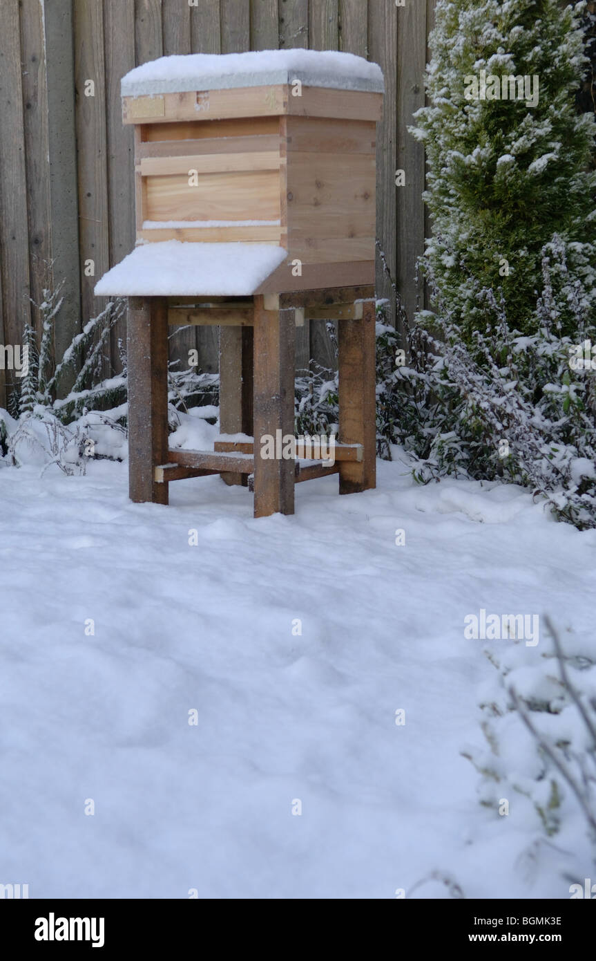 National Bee hive in winter Stock Photo - Alamy