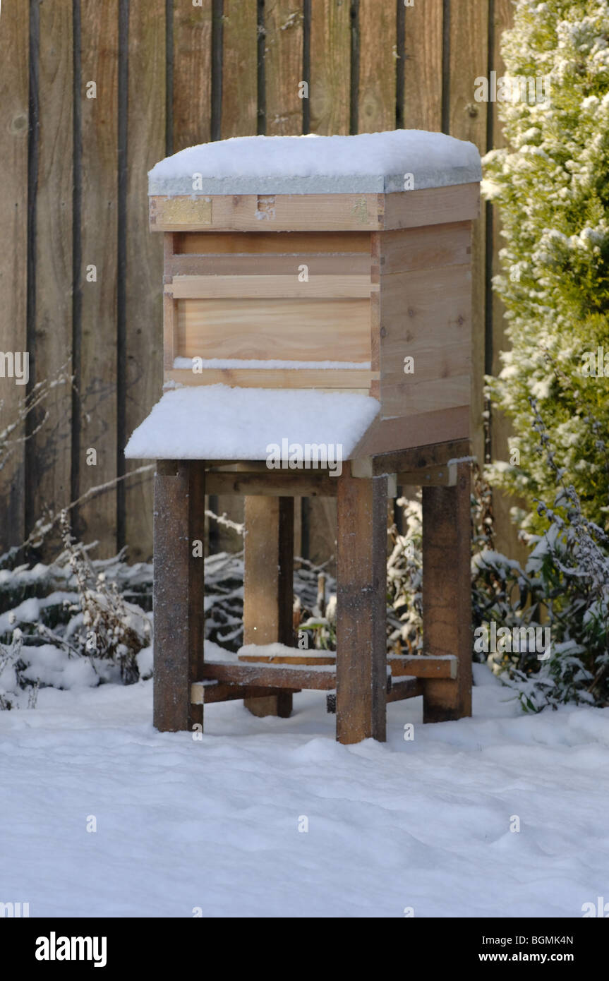 National Bee hive in winter Stock Photo - Alamy