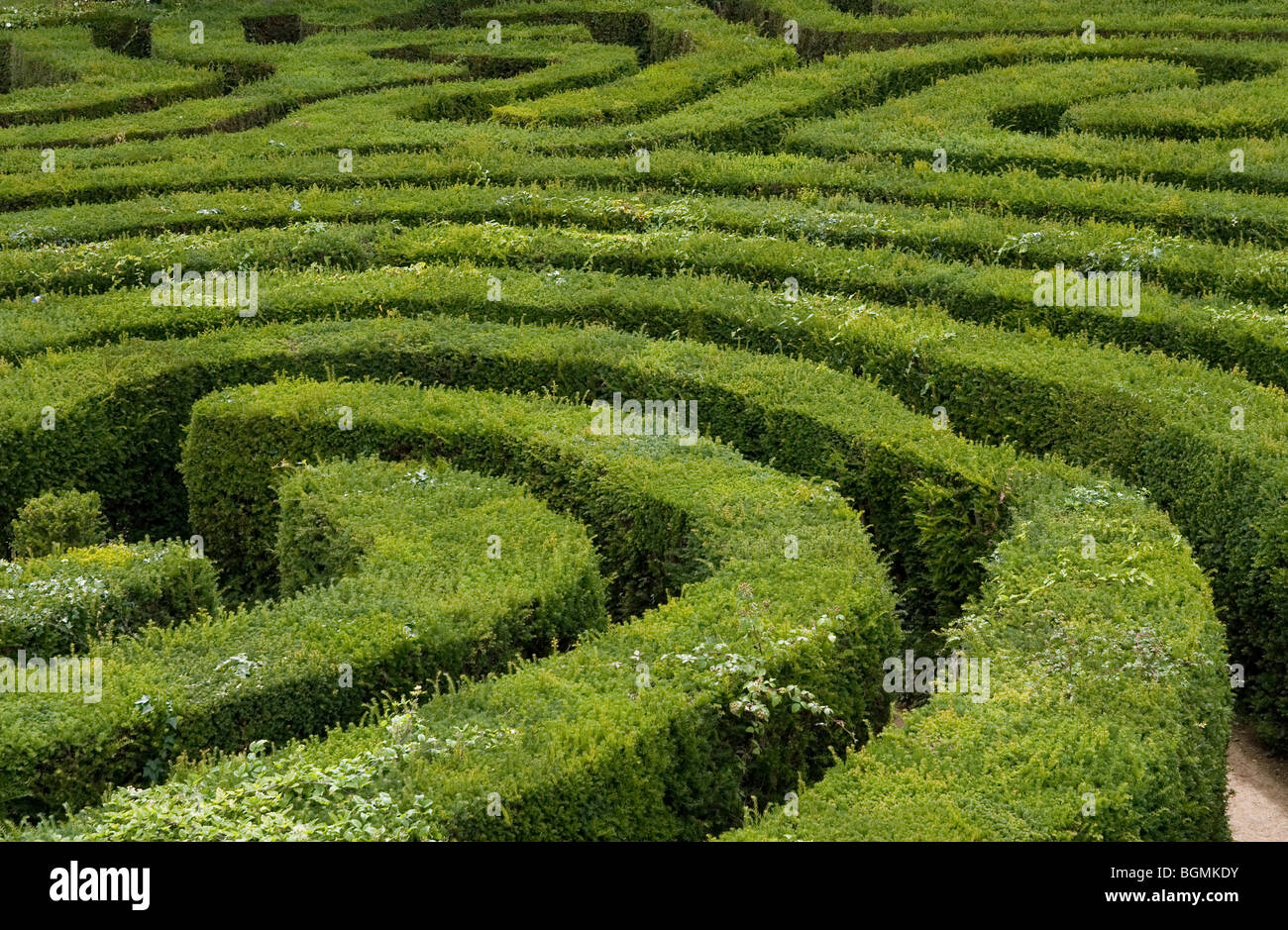 Maze hedge pattern labyrinth hi-res stock photography and images - Alamy