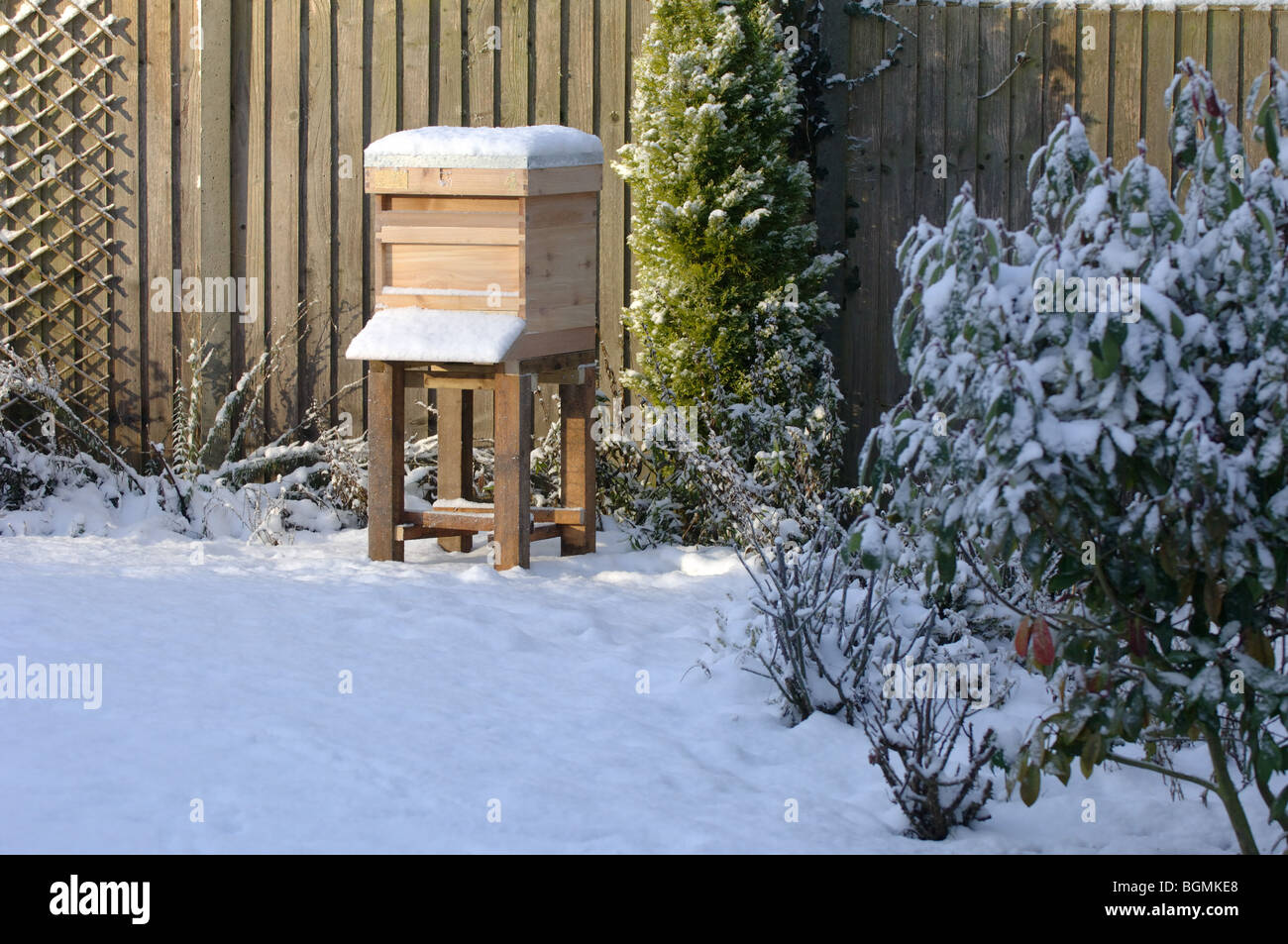 National Bee hive in winter Stock Photo - Alamy