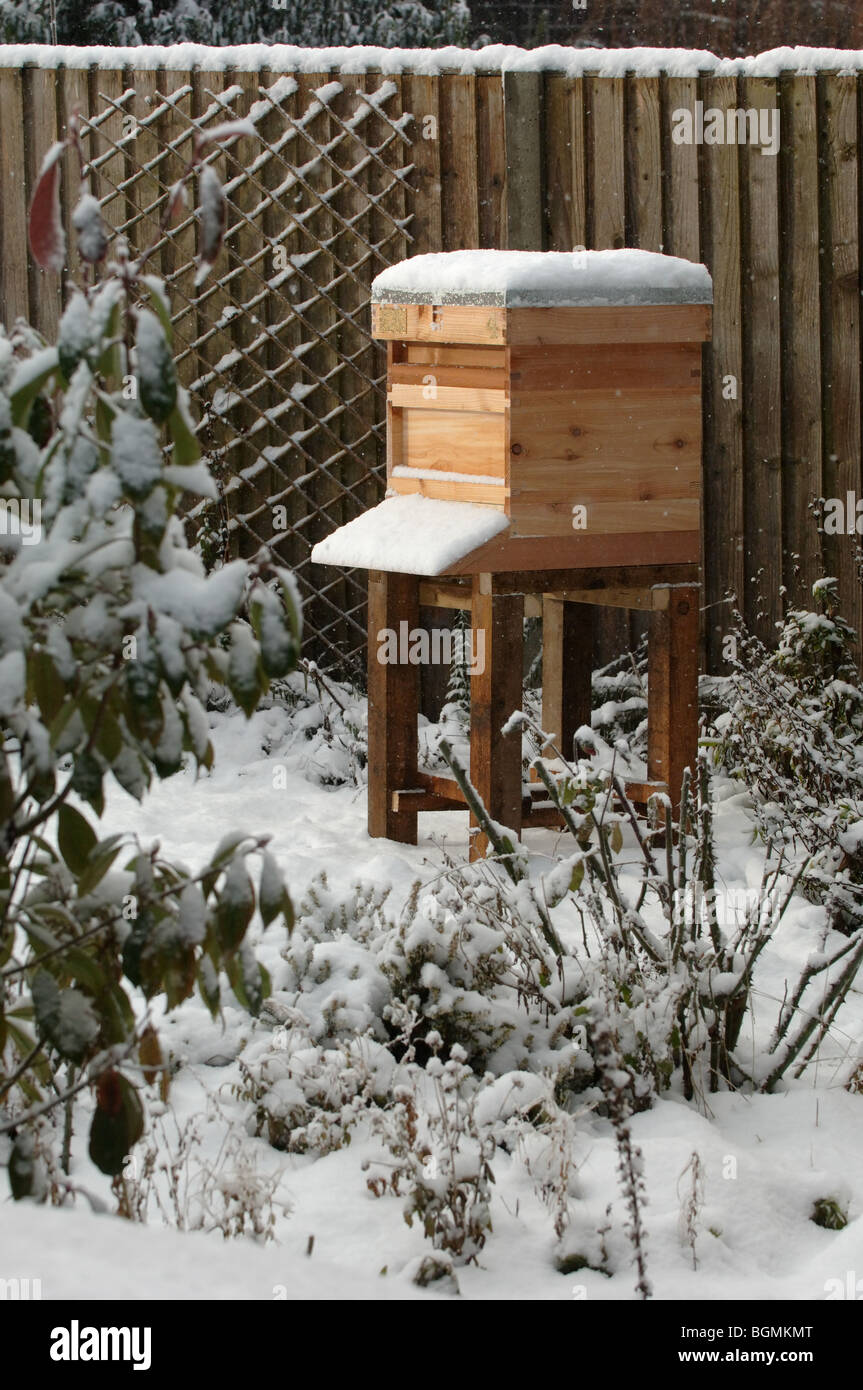 National Bee hive in winter Stock Photo - Alamy
