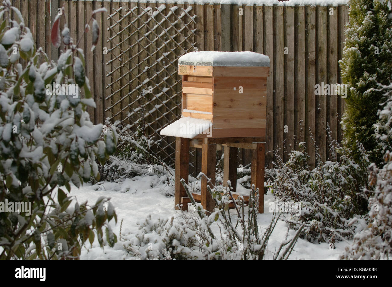 National Bee hive in winter Stock Photo - Alamy