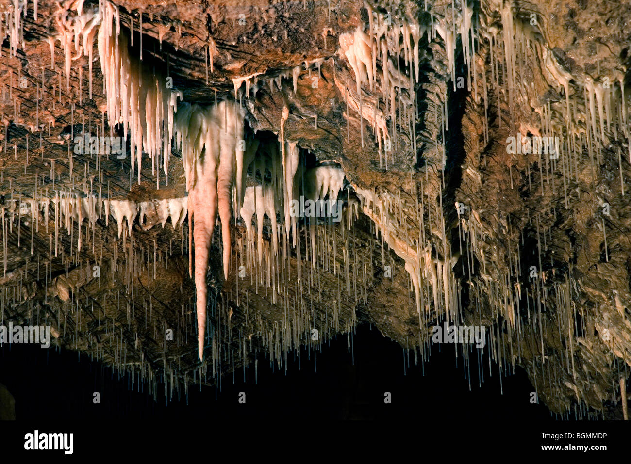 Stalactites in the cave of Hotton, Belgium Stock Photo - Alamy