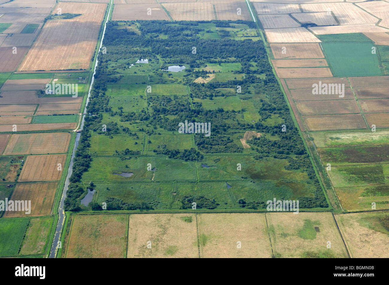 aerial view Woodwalton Fen The Great Fen Project Stock Photo, Royalty ...