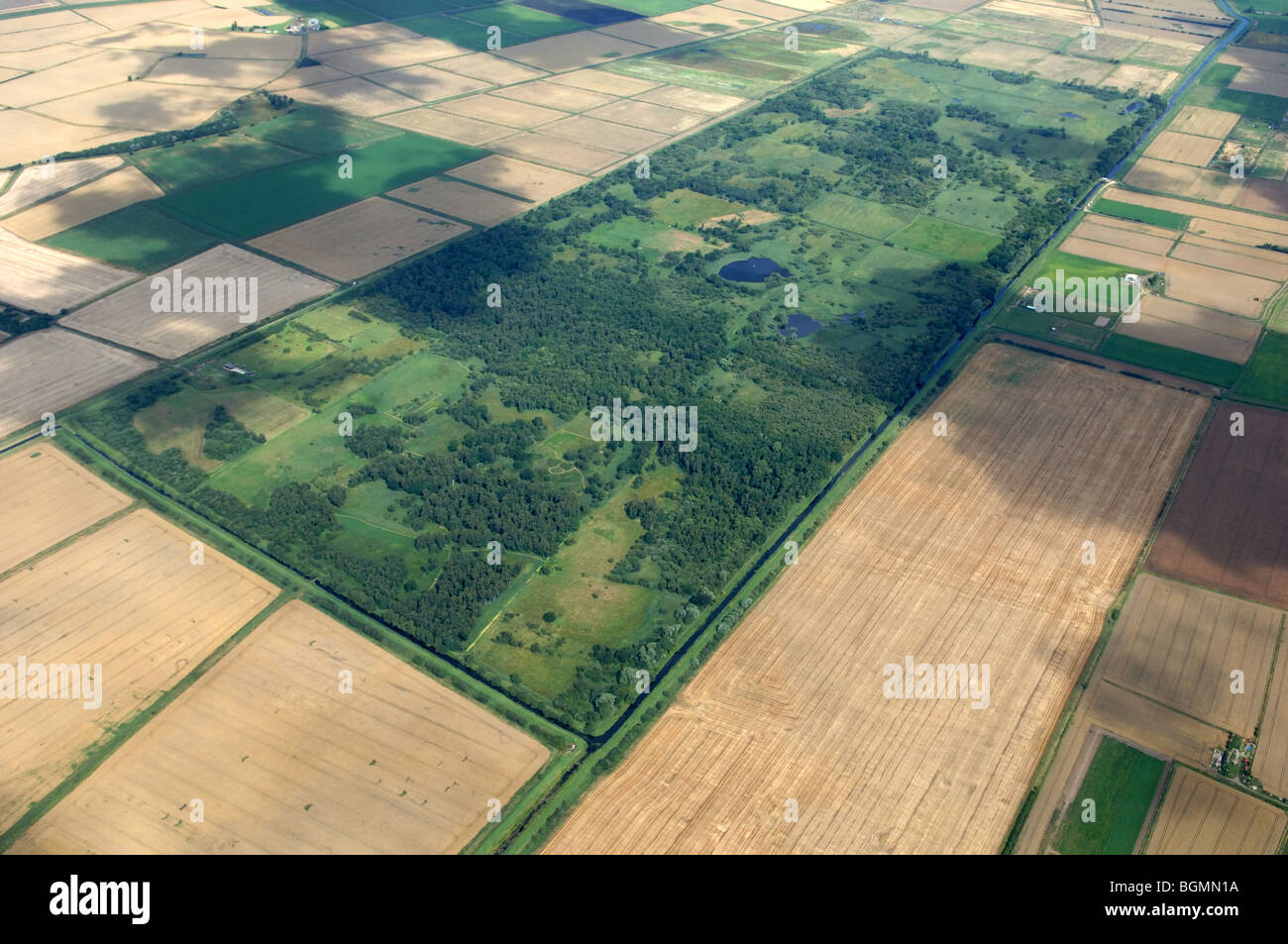 aerial view Woodwalton Fen The Great Fen Project Stock Photo - Alamy