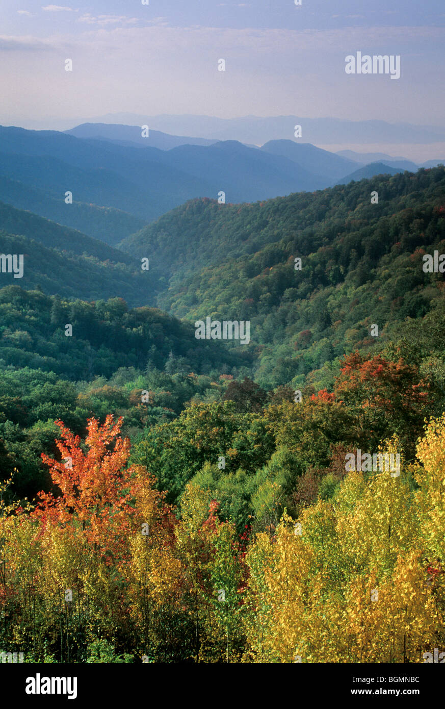Spectacular fall colors grace the traditional homelands of the Cherokee ...