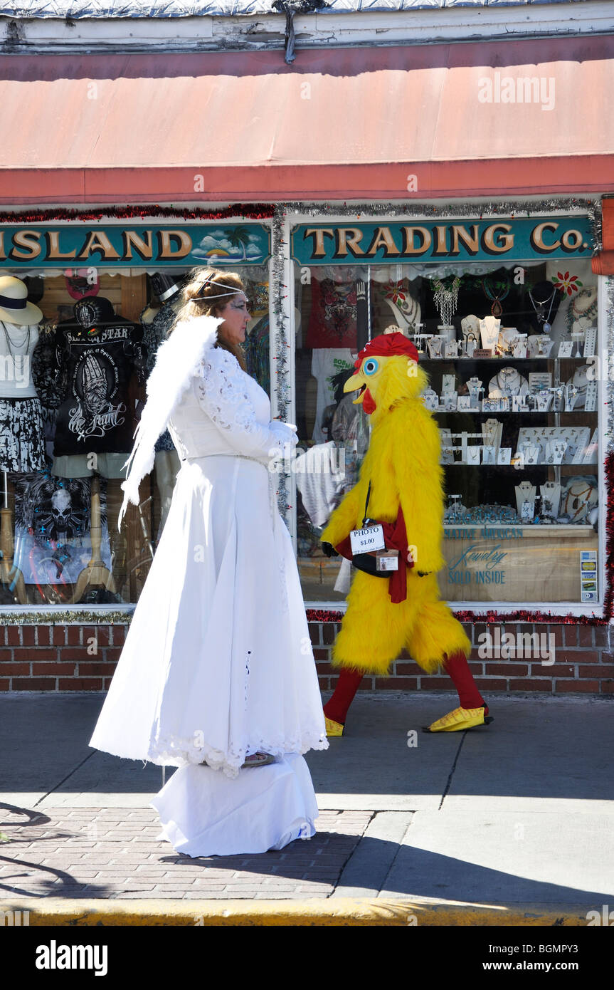 Chicken key west street hi-res stock photography and images - Alamy
