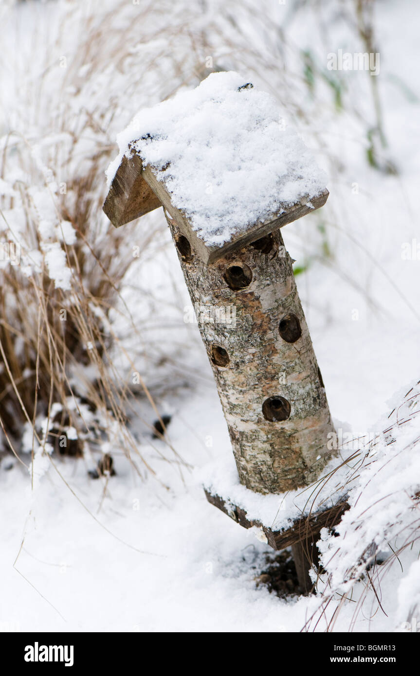 Ladybird house in a snowy garden border, Gloucestershire, England Stock ...