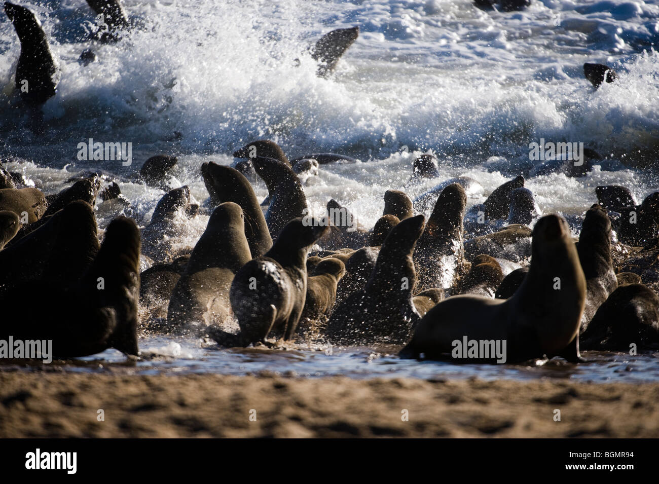 Namibia surf hi-res stock photography and images - Alamy