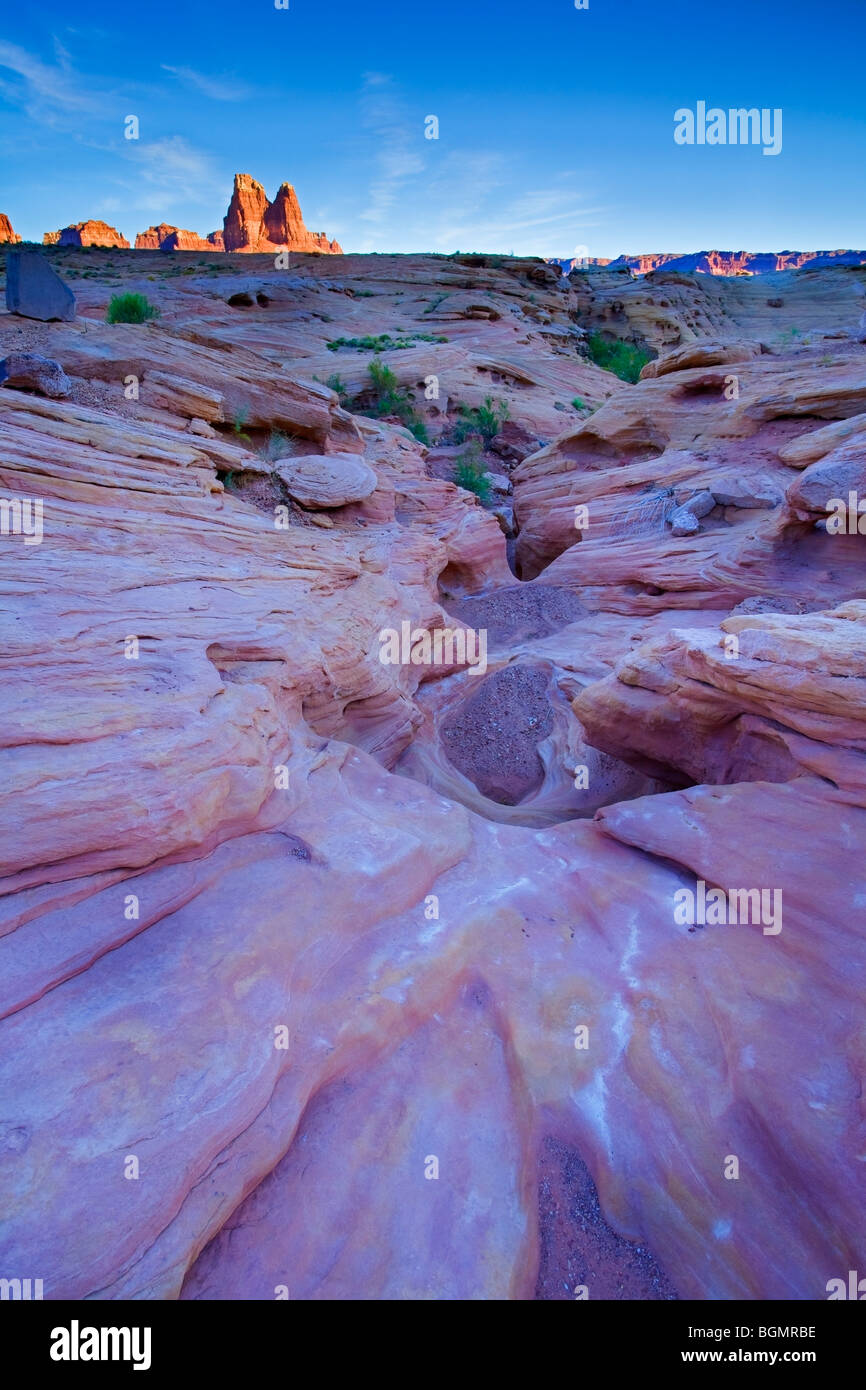 Dirty Devil River Canyonlands, Vertical, Glen Canyon National ...