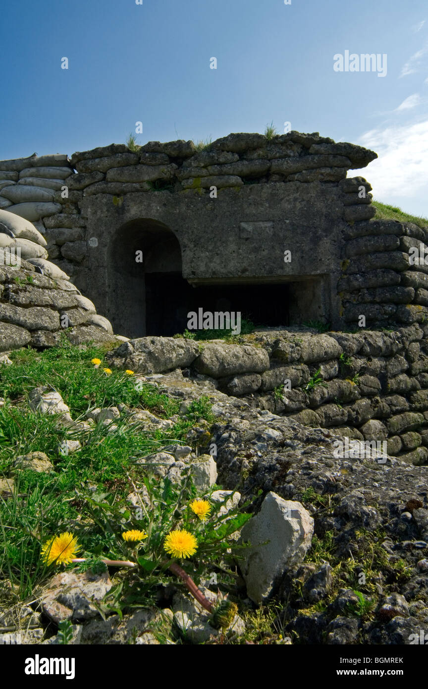 Ww1 trench shelter hi-res stock photography and images - Alamy