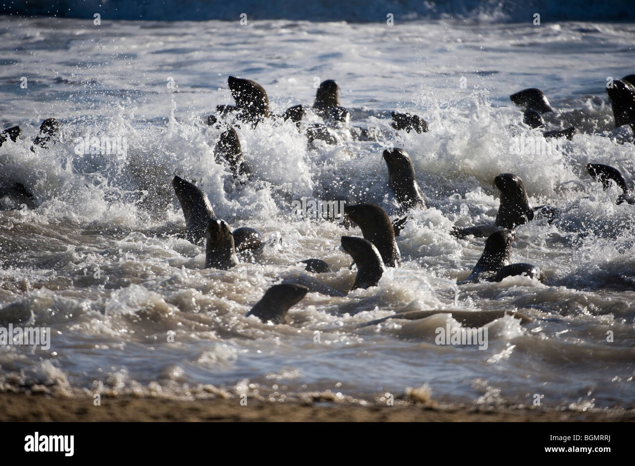 Namibia surf hi-res stock photography and images - Alamy