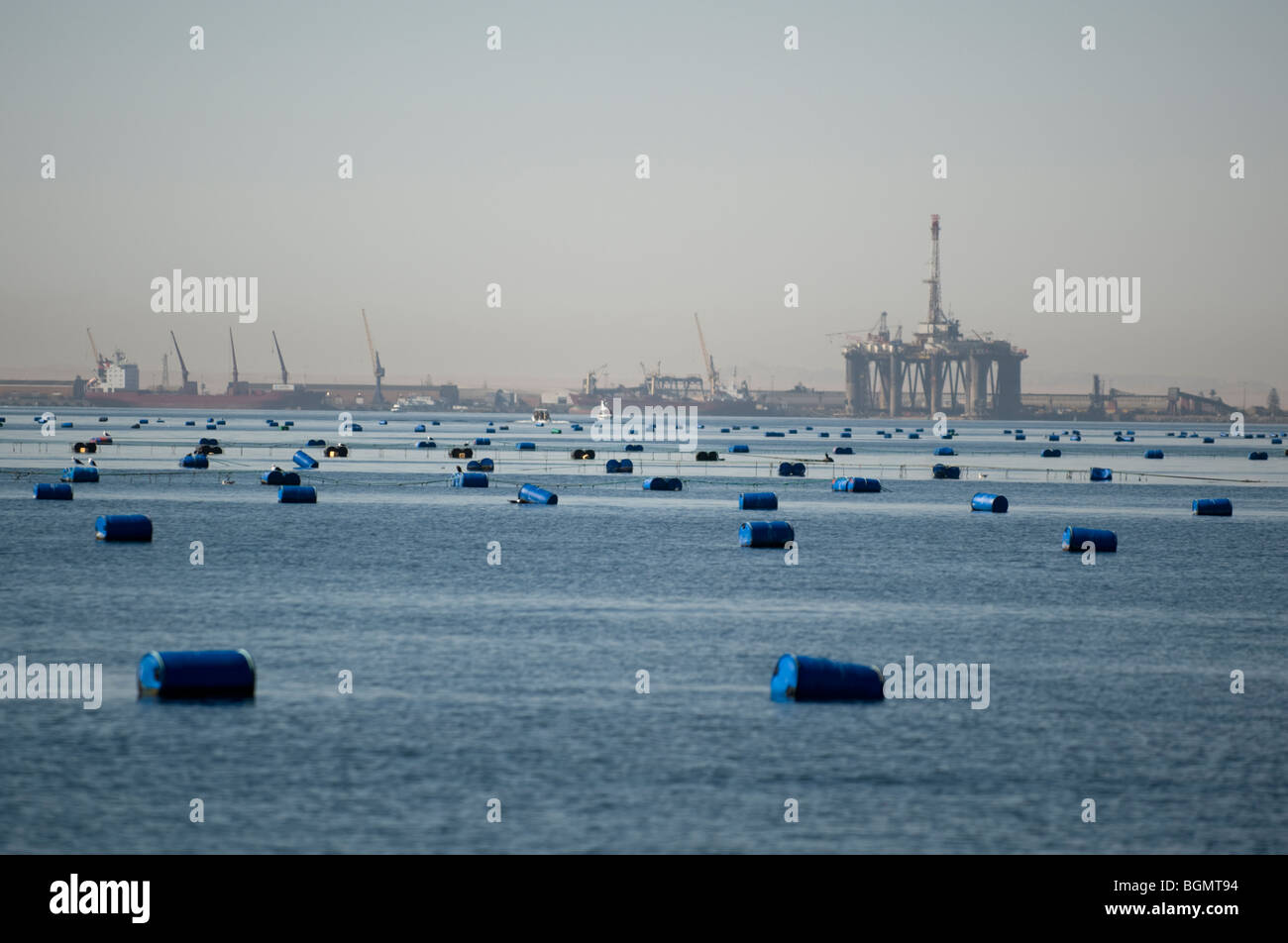 Oyster farms in the Walvis Bay lagoon, Namibia Stock Photo - Alamy